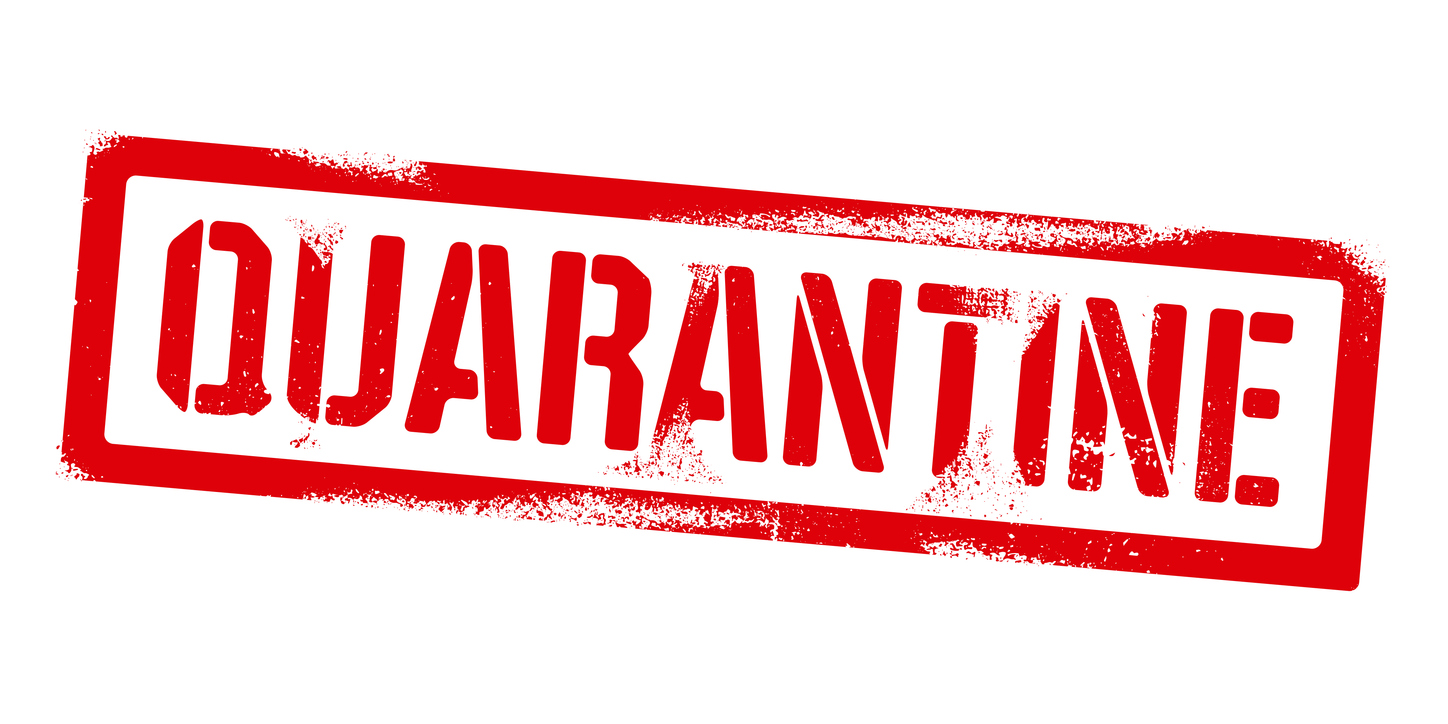 Understanding Quarantine and Isolation Practices in Dog Kennels ...