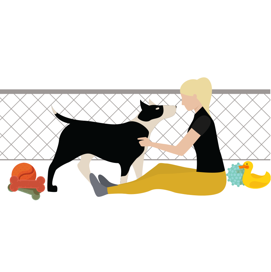 Behavior - Canine Welfare Science