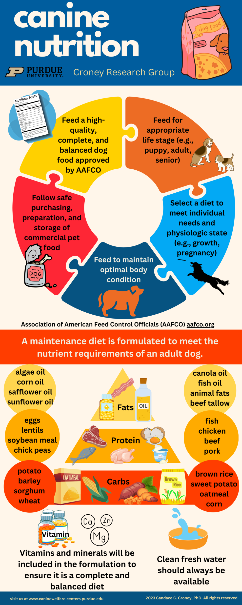 Canine Nutrition Infographic – CRONEY RESEARCH GROUP | Canine Welfare ...